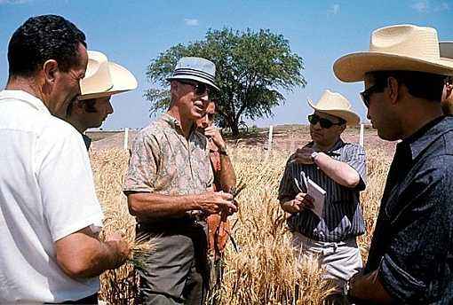 Norman Borlaug